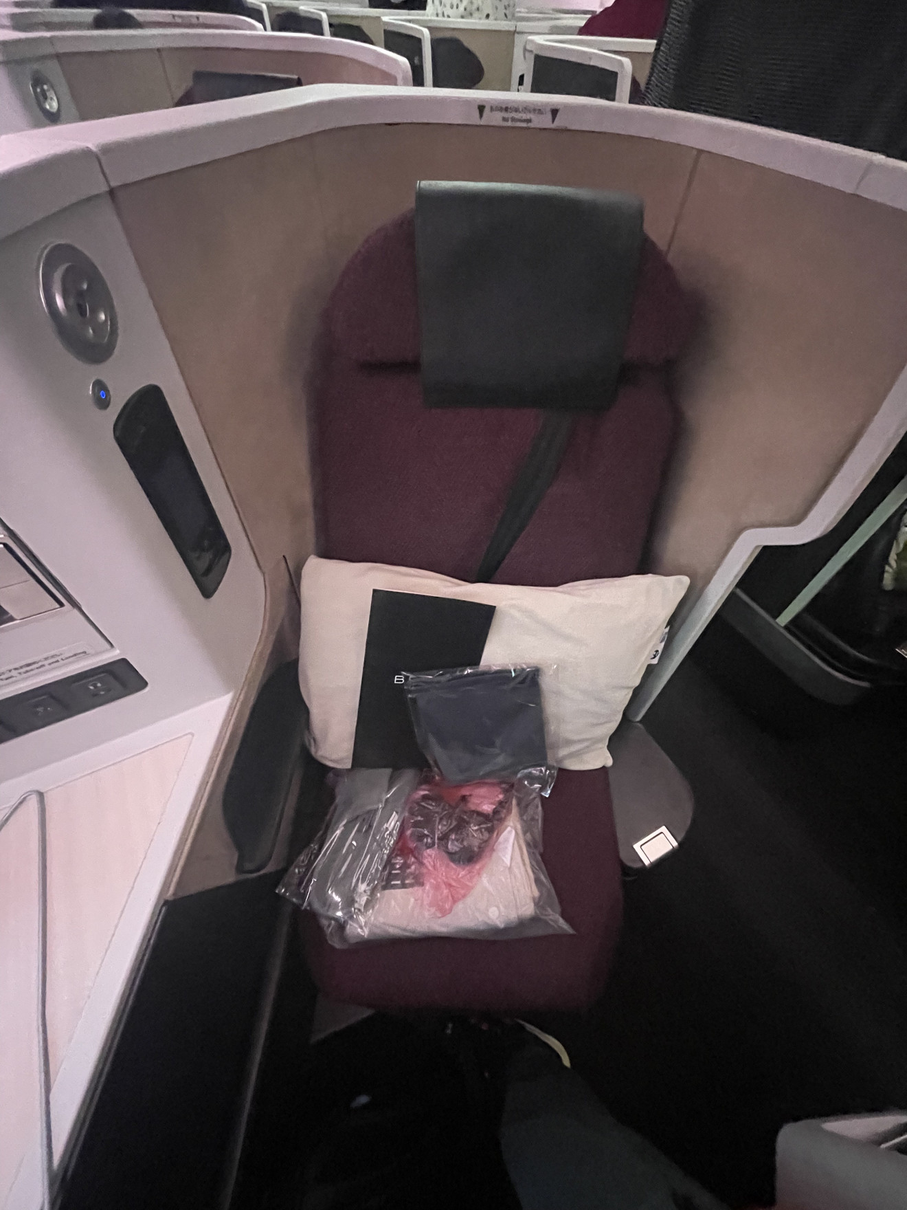 Navigating Sakura Season in Style: A Review of Japan Airlines’ Sky ...